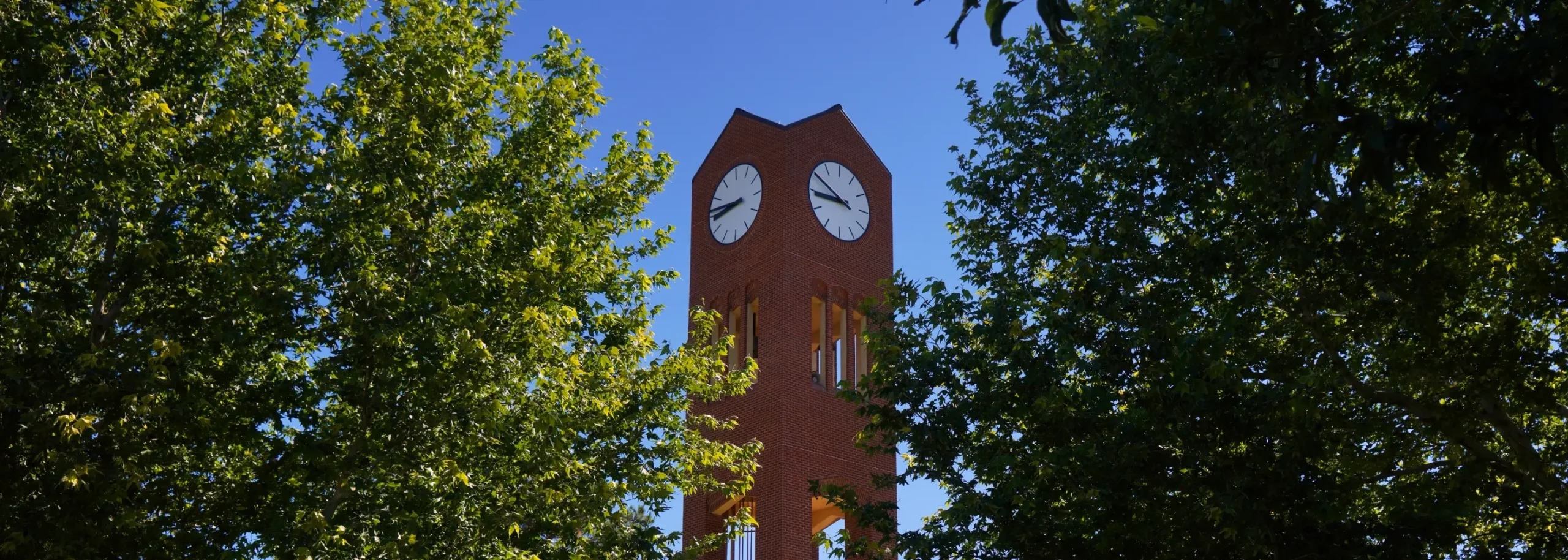 Strategic Plan - Eastern Arizona College